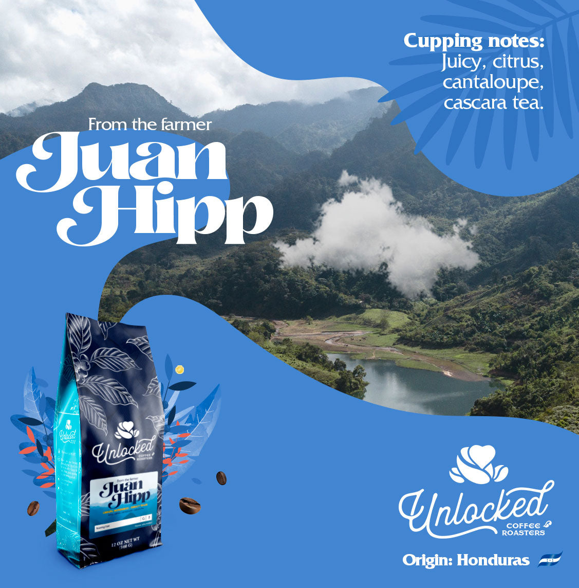 Juan Hipp! Honduras coffee, bringing down the clouds – Unlocked Coffee